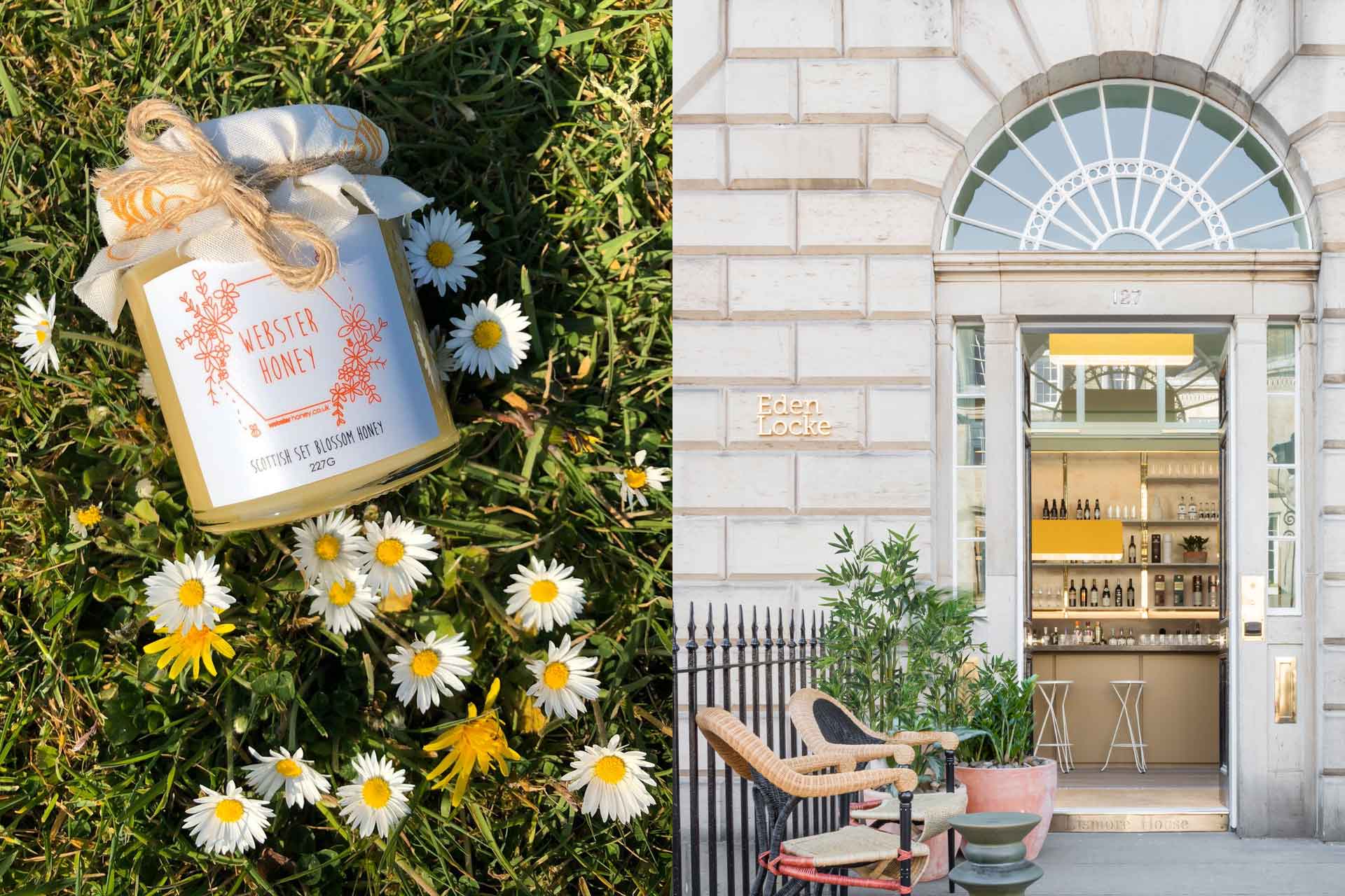 Eden Locke Edinburgh introduces new beehives - Supper Magazine