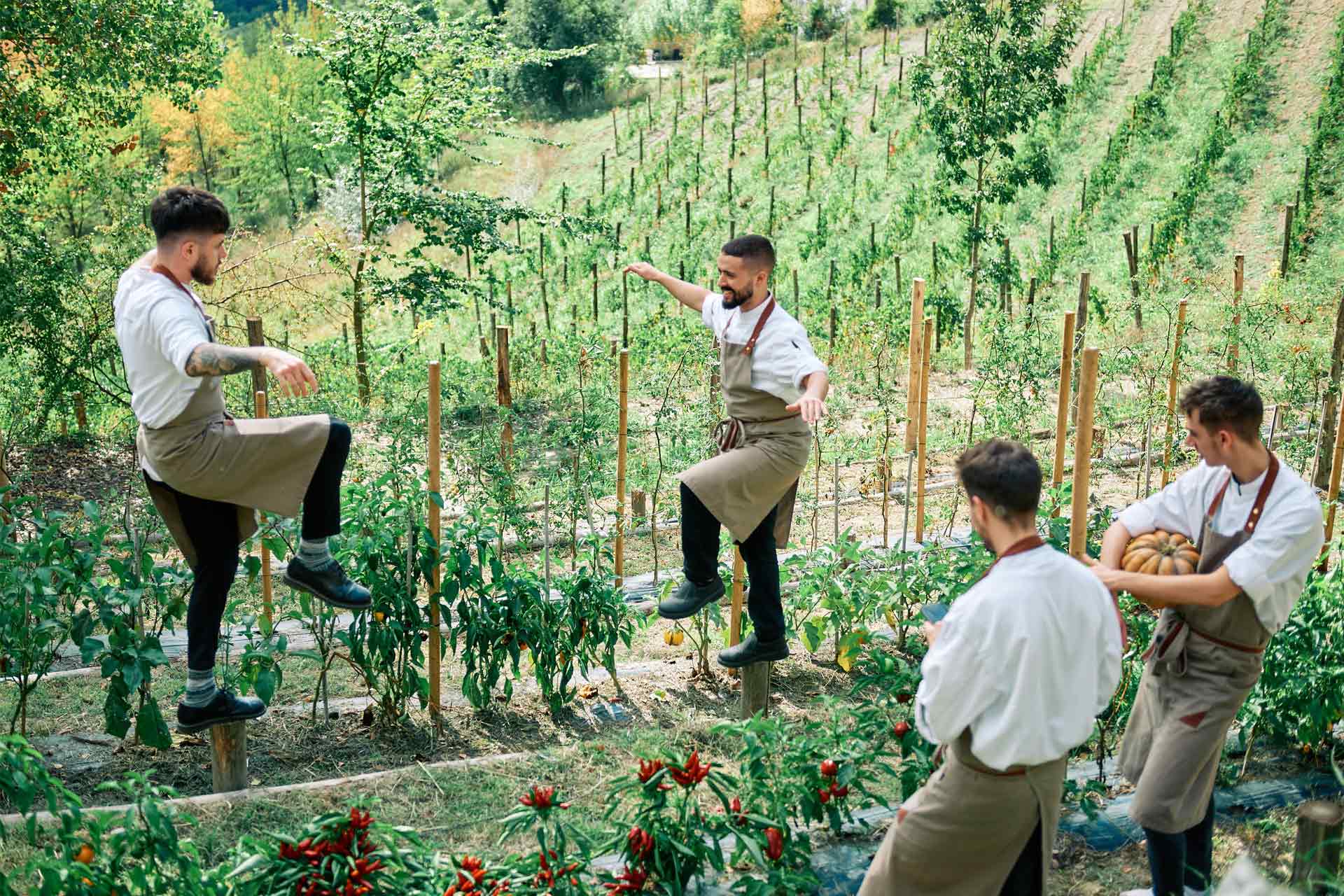 Nordelaia welcomes Chet Sharma for seasonal chef series - Supper Magazine